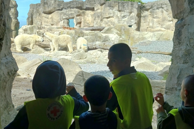 News - Detailsansicht - DRK-KV Wesermuende e.V.